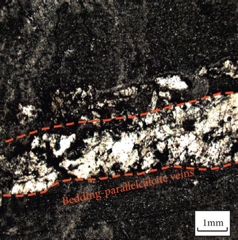 Characteristics Of Magmatic Hydrothermal Mineral Composition In Download Scientific Diagram