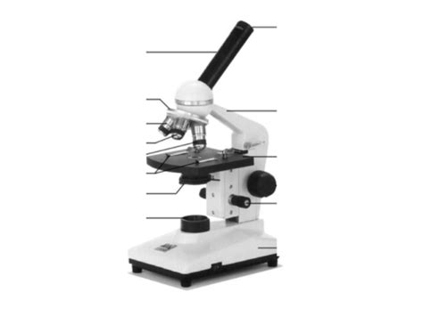 Microscope Diagram Diagram Quizlet