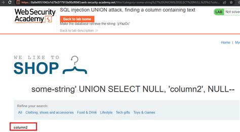 SQL injection vulnerabilities Lỗ hổng SQL injection Phần