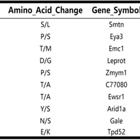 Overview Of Identified Immunogenic Somatic Point Mutations Download