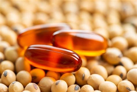 The Many Benefits Of Lecithin Health And Detox And Vitamins