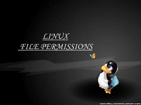 Linux User Management Pptx Operating Systems Computer Software