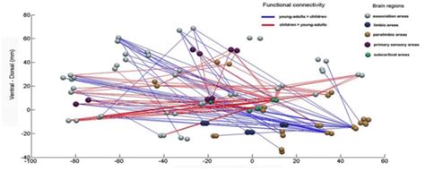 Functional Connectivity Along The Posterior Anterior And Ventral Dorsal Download Scientific