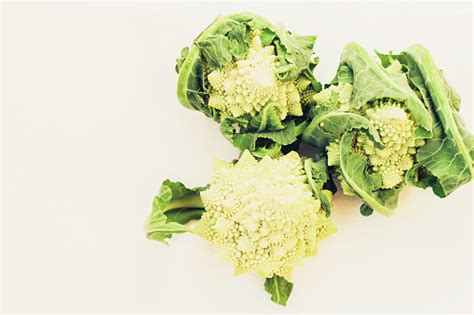 로 마니아 텍스트를 위한 공간으로 흰색 배경에 고립 된 로마 콜 리 플라워 0명에 대한 스톡 사진 및 기타 이미지 Istock