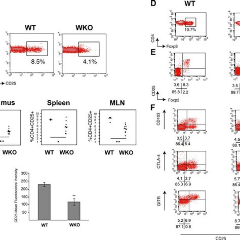 Wasp Expression In Murine Ntreg Cells A Wasp Expression In Download Scientific Diagram