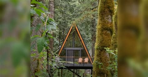 Man Builds A Frame Cottage Wedged Up In The Trees For Beautiful Experience