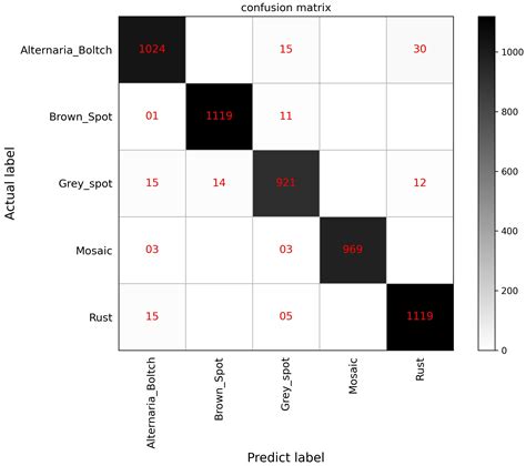 Crop Disease Identification By Fusing Multiscale Convolution And Vision