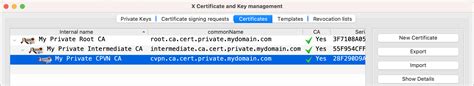 aws client vpn with manually provisioned certificates using terraform