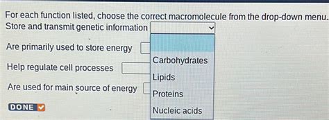 function listed choose the correct macromolecule the drop down menu