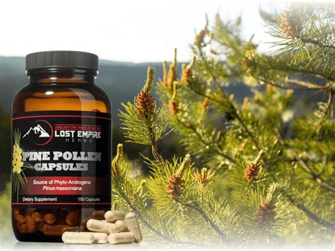 Discover The Health Benefits Of Pine Pollen Lost Empire Herbs