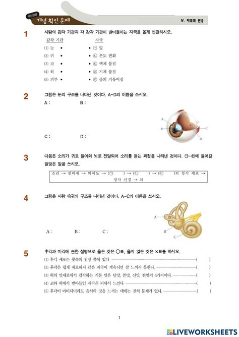 자극과반응 개념문제 Online Exercise For Live Worksheets