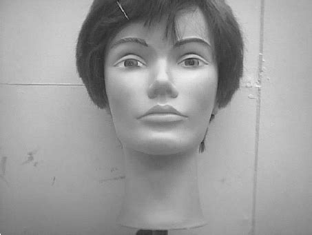 Frontal View Of The Head Of The Mannequin Used For Controlled Testing Download Scientific Diagram