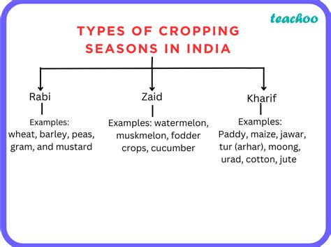 Class 10 What Are The Two Main Types Of Cropping Seasons In India