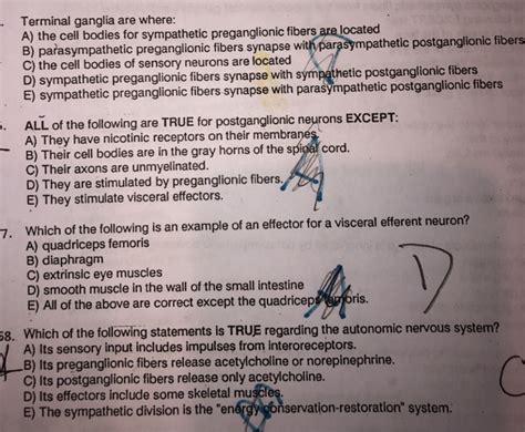 Solved Terminal Ganglia Are Where A The Cell Bodies For