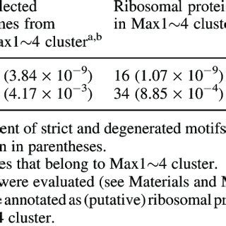 Motif Enrichment Analysis Download Table