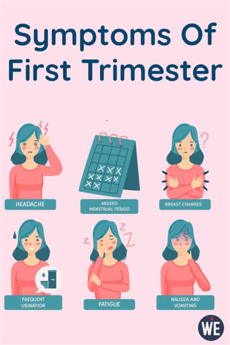 The First Trimester Of Pregnancy All You Need To Know