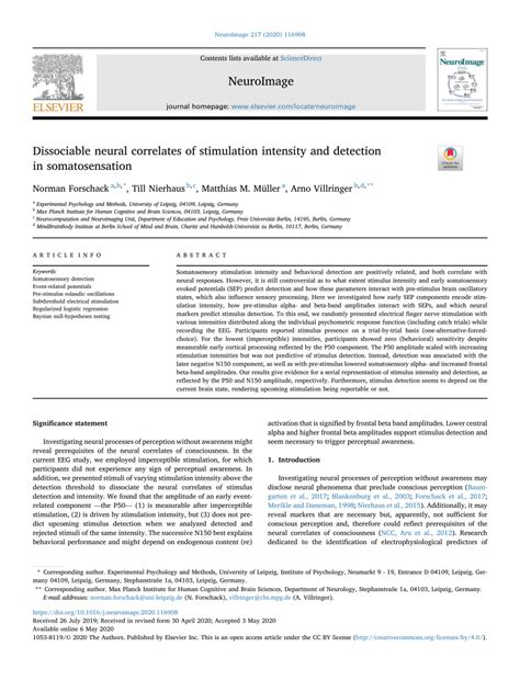 Pdf Dissociable Neural Correlates Of Stimulation Intensity And