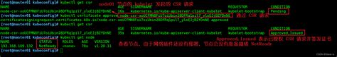 【云原生kubernetes系列第三篇】二进制部署单节点kubernetes（k8s）v1 20（不要因为别人都在交卷，自己就乱写答案）（二