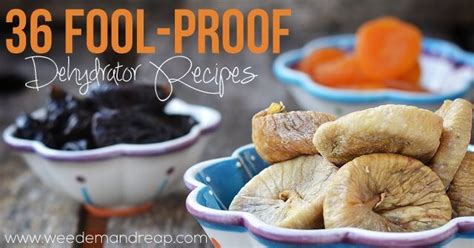 36 Fool Proof Dehydrator Recipes Weed Em And Reap