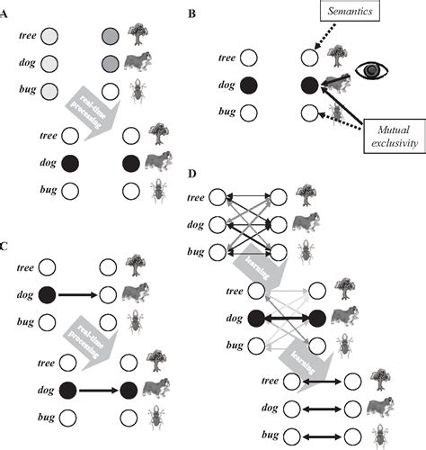 Ambiguous Genitalia Semantic Scholar