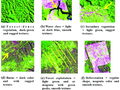 Spectral Patterns Of The Classes Chosen In This Study Source Our Own