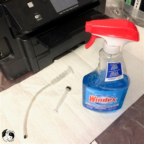 How To Clean Printer Heads Birdz Of A Feather