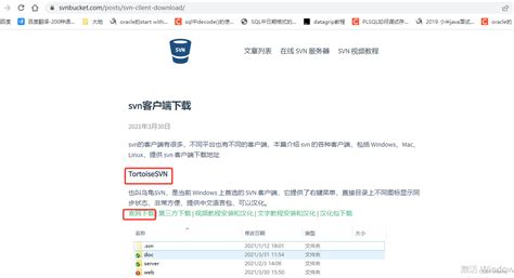 版本管理工具 Svn使用教程svn管理工具 Csdn博客