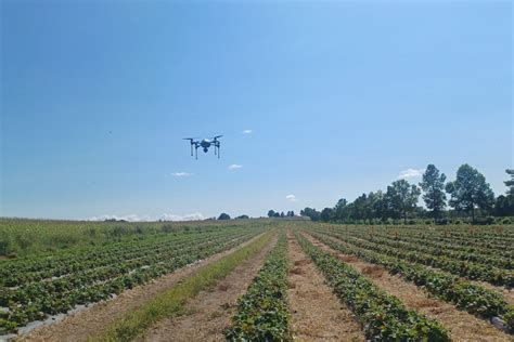 Lab Init Robots Self Deployable Outdoors Robot Teams
