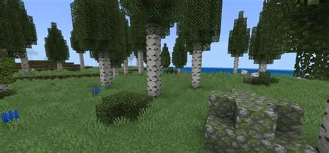 Vltxs Better Birch Biome Addon For Minecraft