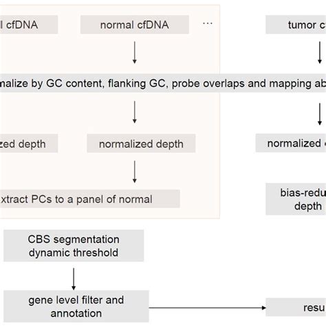 Flowchart Of The Copy Number Variation Cnv Calling Pipeline