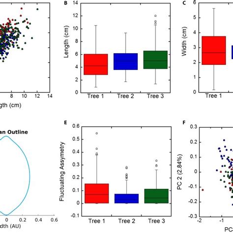 Principal Component Analysis Pca Of Elliptical Fourier Descriptors Of Download Scientific