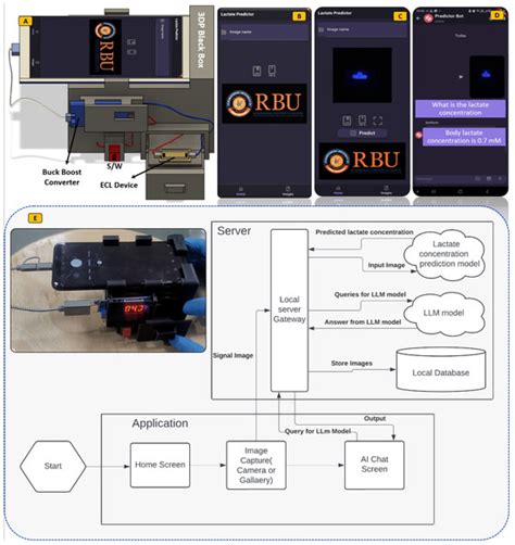 Deep Learning Assisted Smartphone Based Electrochemiluminescence Visual