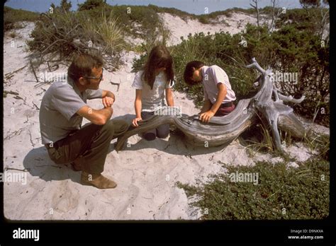 Fire Island National Seashore In New York Offers Protected Coastal