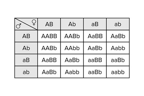Genetics And Evolution For The Mcat Everything You Need To Know