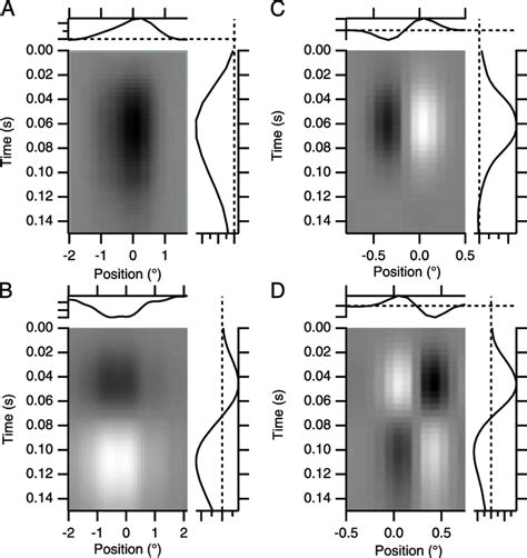 Separable Non Ds Simple Cells Four Spatiotemporal Receptive Fields Are