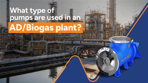 Saravanan Arul Wife Age Net Worth Height Career And Biography Bigstarbio