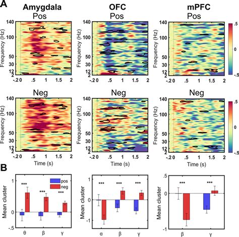 Task Induced Activity With Condition Differences A Grand Averaged Event