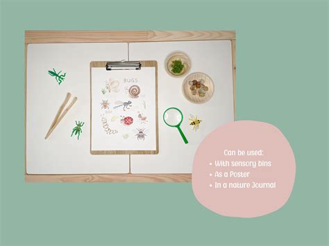 Cute Bug Poster Educational Printable Poster Etsy