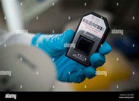 Scannen Genetische Microarray Analytiker Mit Einem Scanner Den Barcode