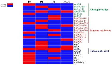 Genome Analysis Of Pseudomonas Aeruginosa Strains From Chronically Infected Patients With High