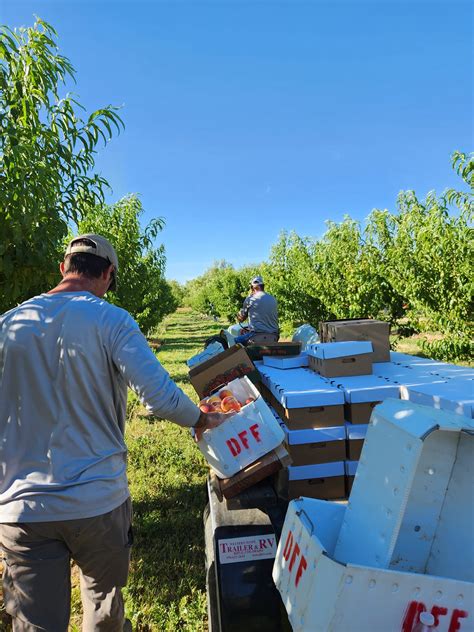 Paddleboard Adventure Company Western Slope This Weekend Is For The