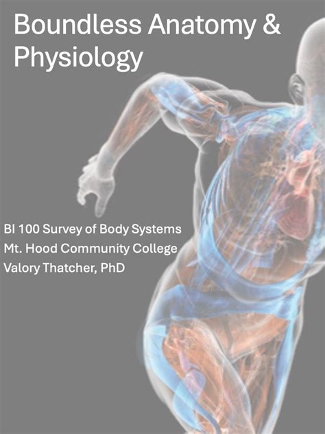 Lesson 4 Integration And Coordination The Nervous System Boundless