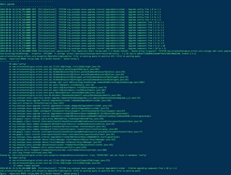 New Installation Causes Errors Nexus 313 Sonatype Nexus Repository Sonatype Community