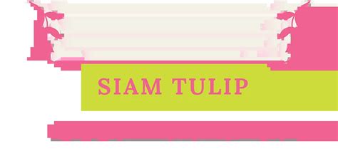 Siam Tulip Outcall Massage Bangkok
