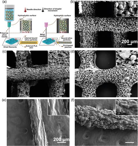 A Schematic Illustration Not To Scale Of The Skin Formation
