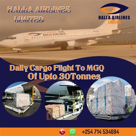 Airline Fryer Template Postermywall