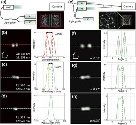 Aperture Encoded Snapshot Hyperspectral Imaging With A Lensless Camera