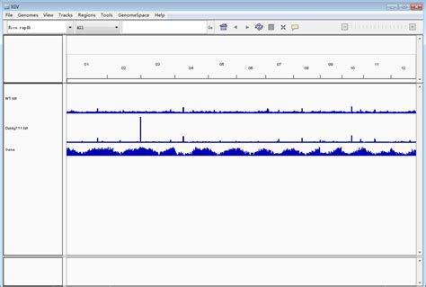 Chip Seq Dap Seq Atac Seq Cutandtag结果可视化 Igv使用攻略 Cuttag测序gain和loss Csdn博客