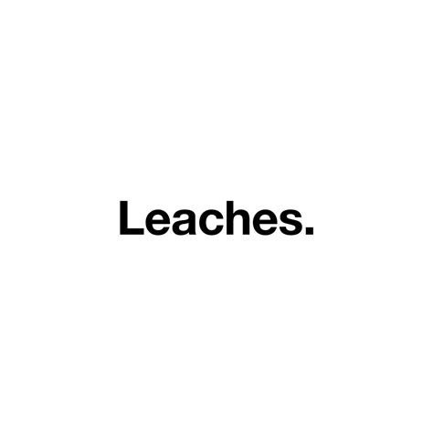 Leaches Leaches