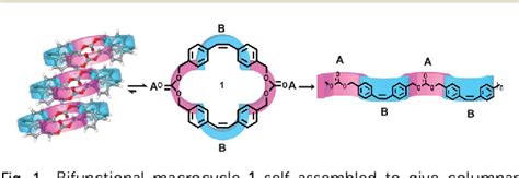 Figure 1 From Self Assembly And Ring Opening Metathesis Polymerization